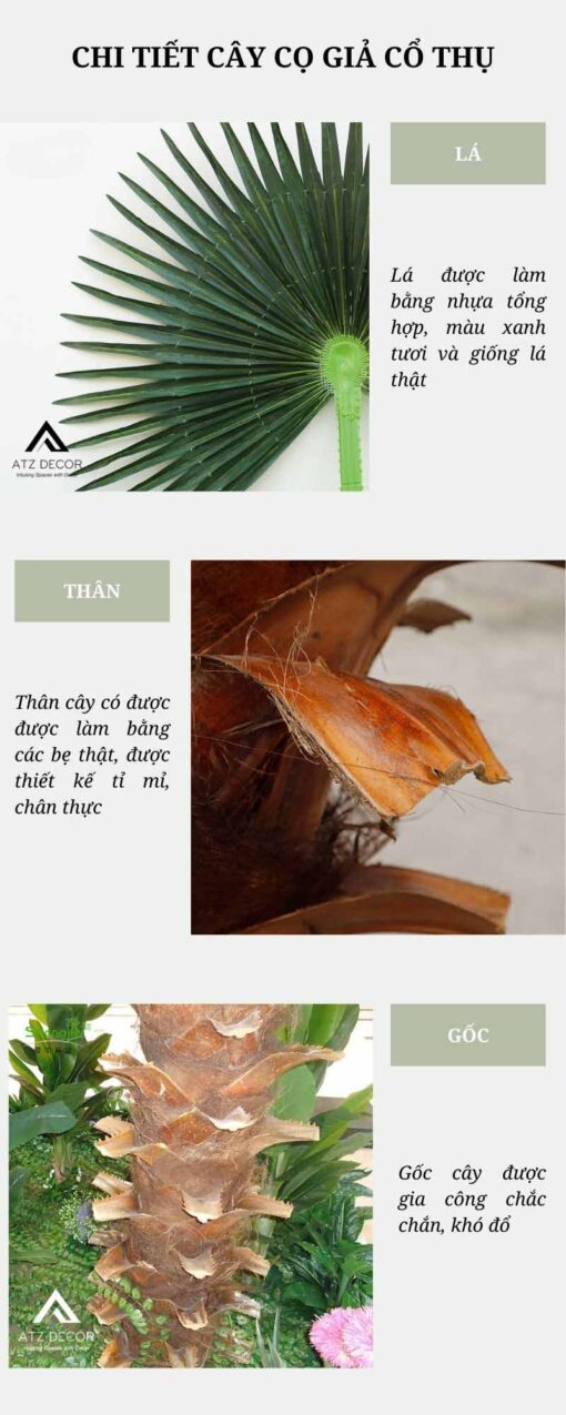 Cây cọ giả cổ thụ trang trí mọi không gian, giá thành tốt